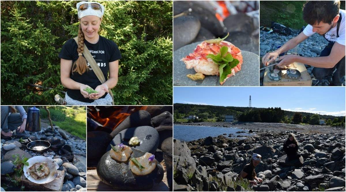 Foraging in Newfoundland with Cod Sounds | Eat North