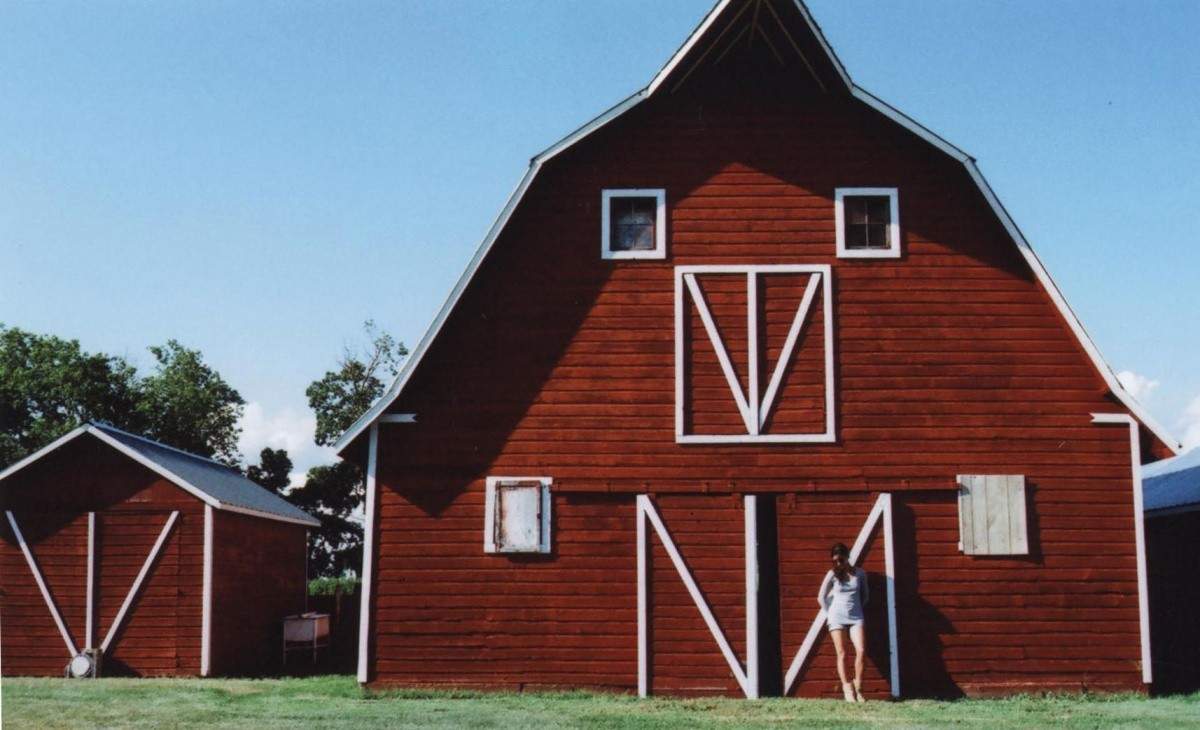 The dog days of summer on a Saskatchewan farm | Eat North