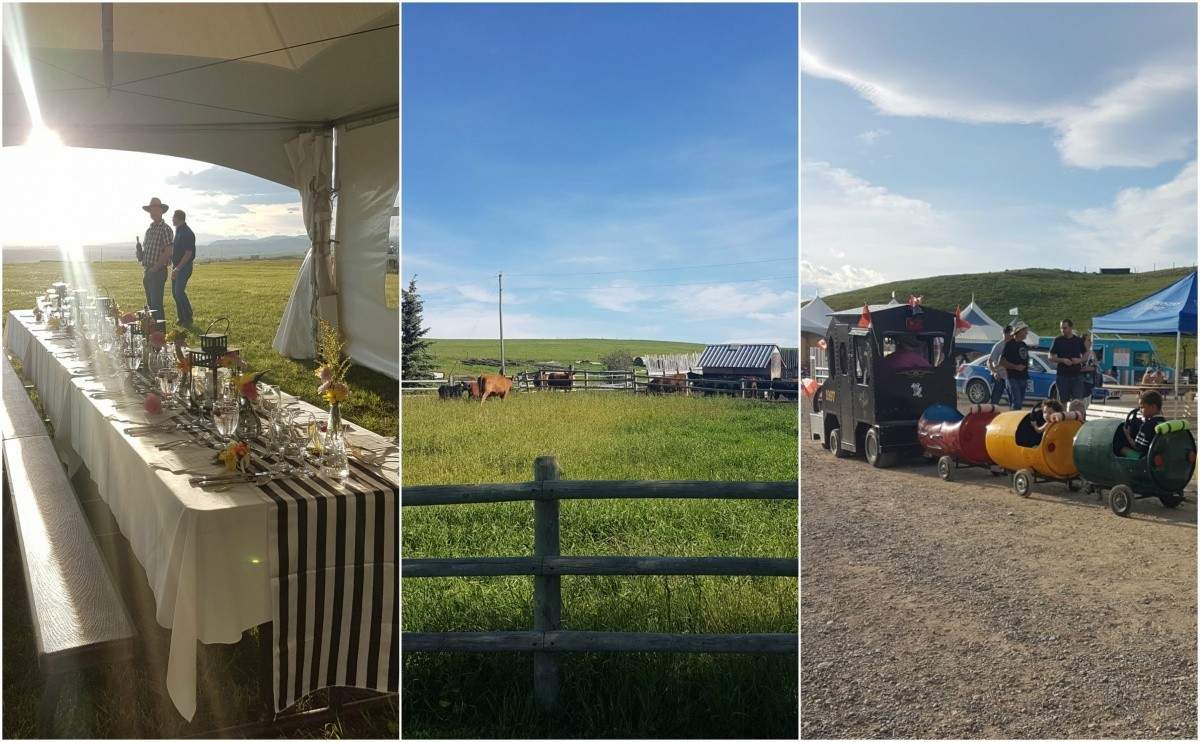 Alberta Open Farm Days appeal to all your senses to let you experience ...