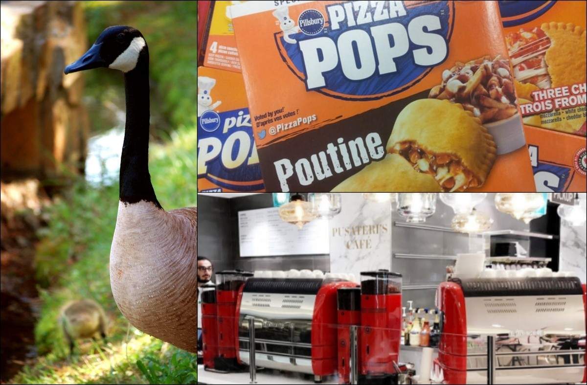 ICYMI: Poutine Pizza Pops, potential banning of bee-killing pesticide ...