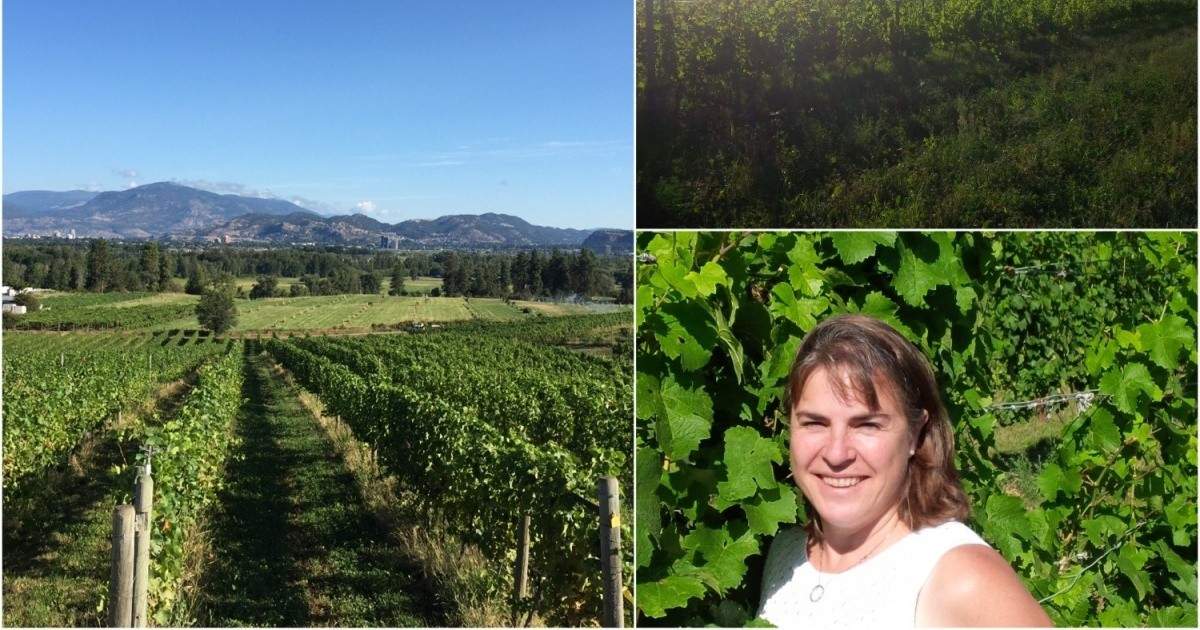 Recognizing women pioneers of the Canadian wine industry | Eat North