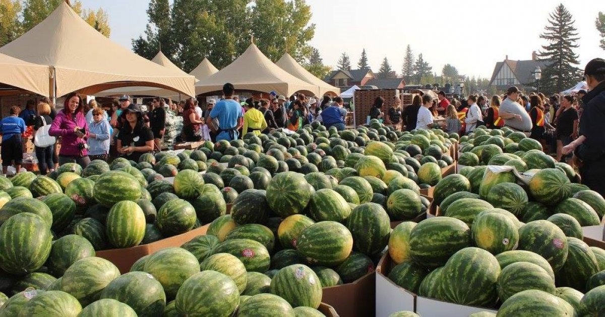 CPMA Fall Harvest Sale returns to Calgary next month | Eat North