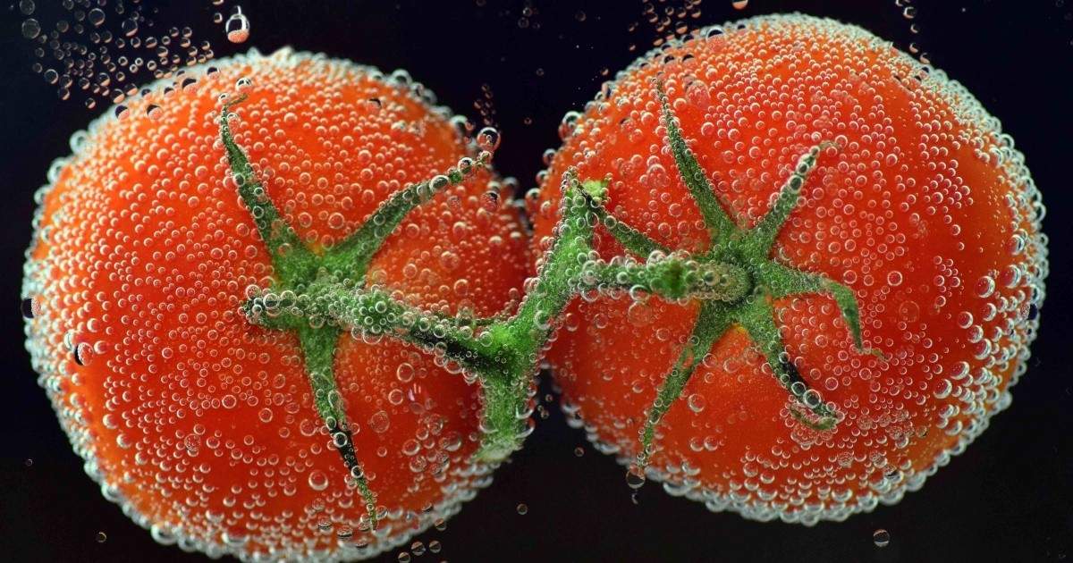 How Canadian chefs are getting creative with tomatoes | Eat North