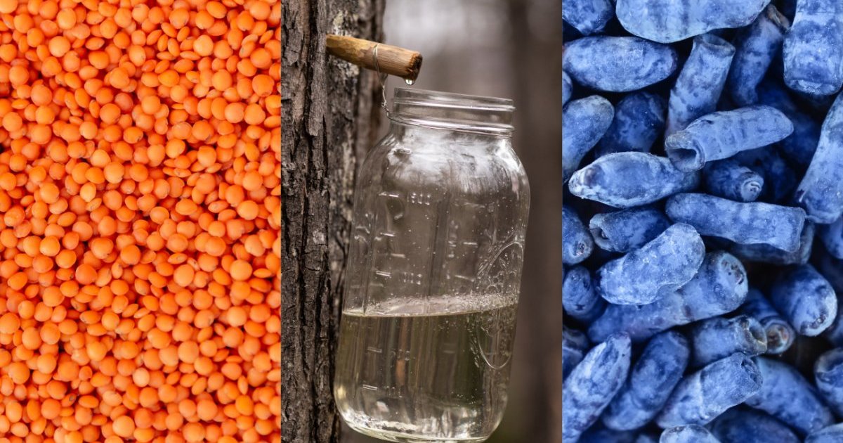 Dan Clapson shares Canadian food facts on 'Wish We Never Met' podcast ...