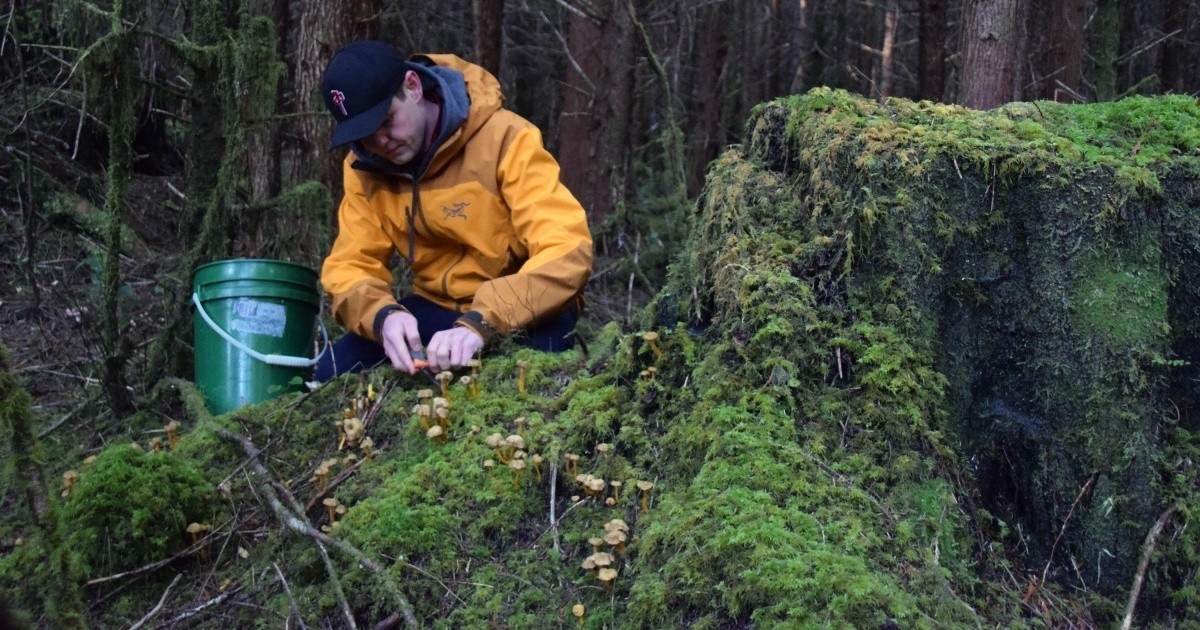 Tofino's 1909 Kitchen showcases local foraged finds | Eat North