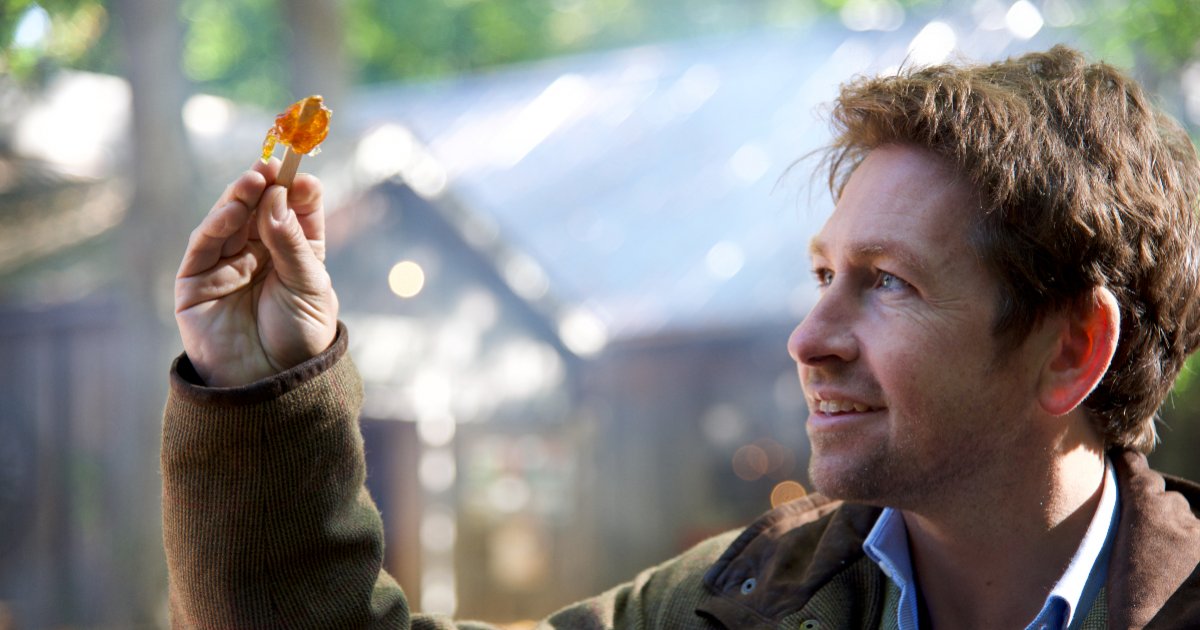 Talking Canadian cuisine with Moosemeat and Marmalade co-host Dan Hayes ...