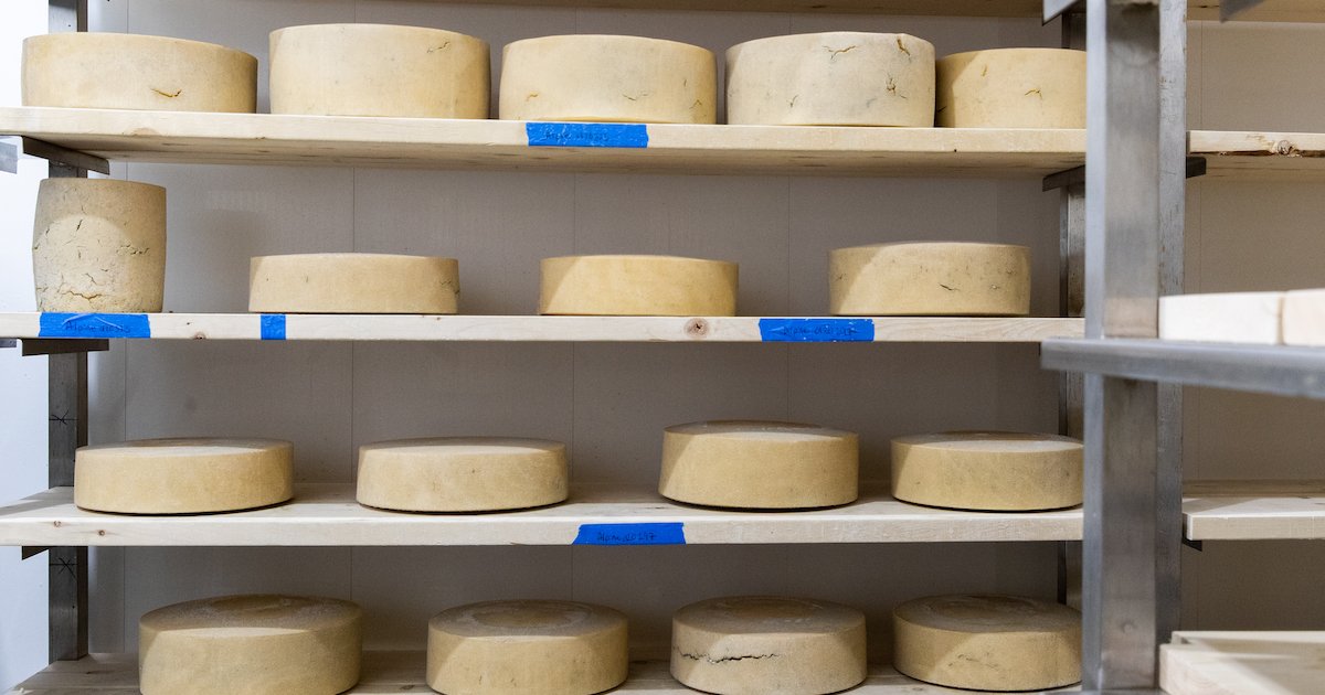 Alberta's Lakeside Farmstead garners plenty of buzz with unique cheeses ...