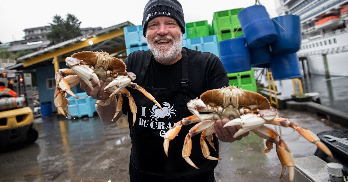 New series Your Nation’s Table celebrates Western Canadian seafood ...