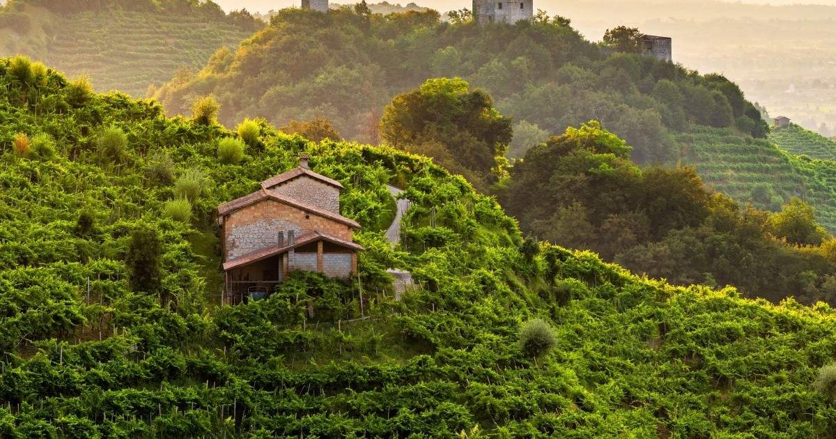 Get to know the prosecco that offers the luxury of Champagne without ...