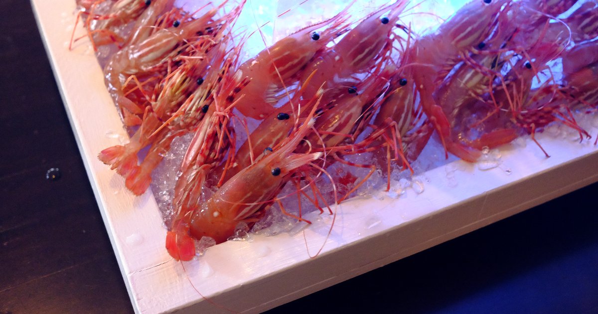 BC Spot Prawn Festival returns with virtual format for 2021 | Eat North