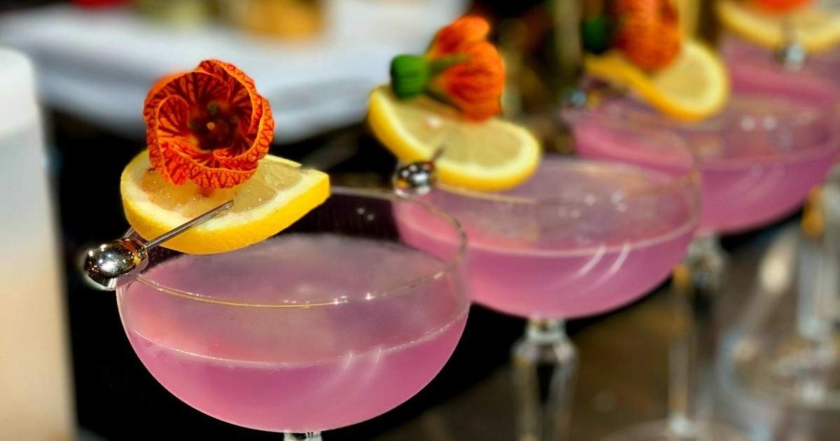 Shannon Boudreau's "Cocoon Evolution" cocktail | Eat North