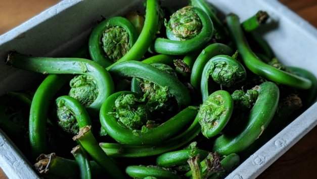 Eat North - Why Food Matters to Canadians